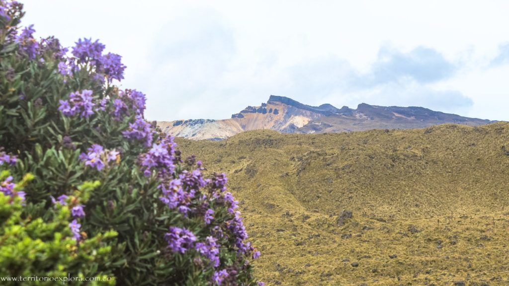 Tour Nevado Santa Isabel, Colombia. Territorio Explora